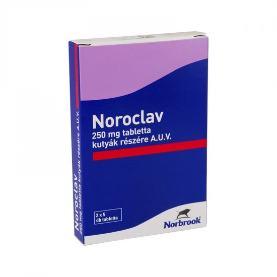 Noroclav 250 mg tabletta 10x - Alphaportal